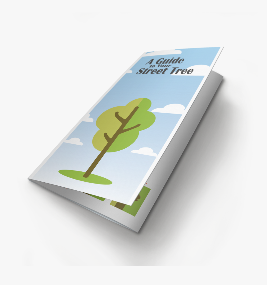 Transparent Street Tree Png, Png Download , Transparent Png Image - PNGitem