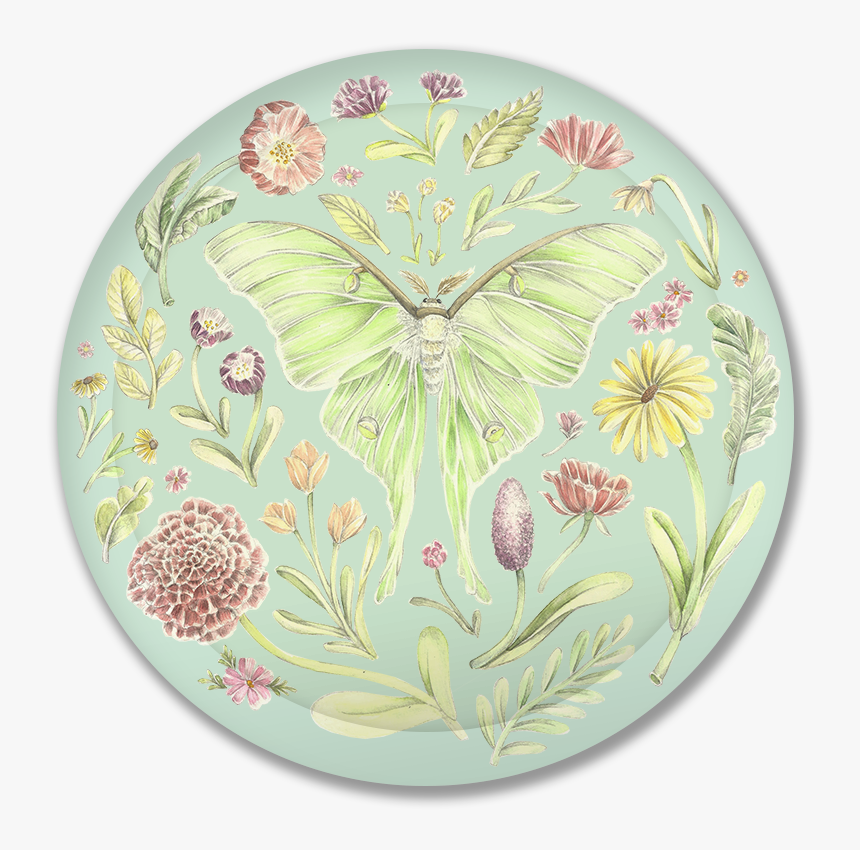 Paper Plate Png, Transparent Png , Transparent Png Image - PNGitem