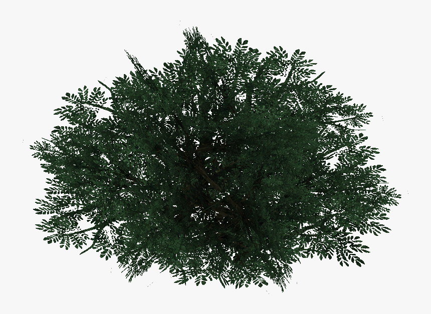 Pine Bush , Png Download, Transparent Png , Transparent Png Image - PNGitem