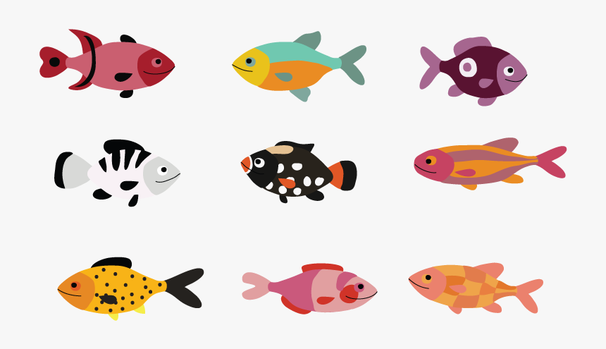 Individual Fish Sample Chelsea Lemon, HD Png Download , Transparent Png ...