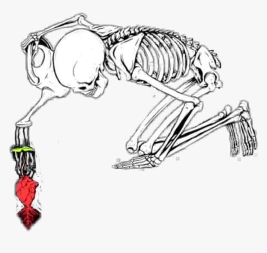 Skeleton Arm Png, Transparent Png , Transparent Png Image - PNGitem