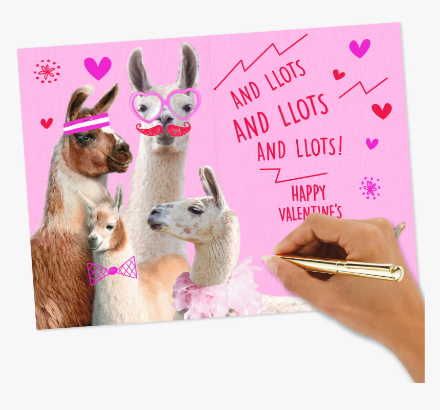 Love You Lots Llamas Valentine S Day, HD Png Download , Transparent Png ...