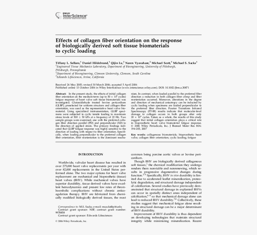 Michael Scott Png, Transparent Png , Transparent Png Image - PNGitem