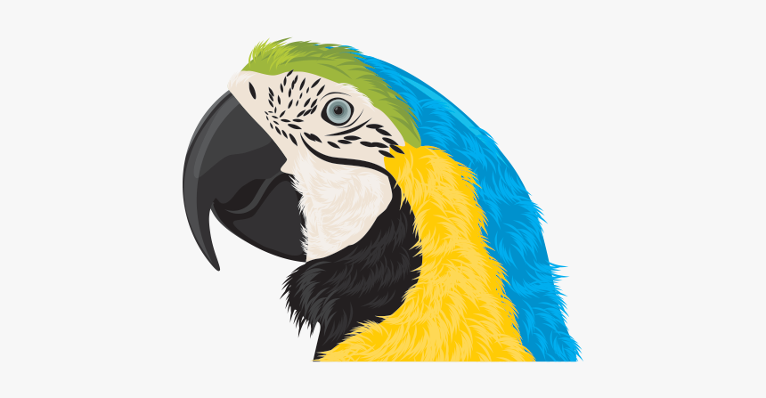 Printed Vinyl Parrot Head, HD Png Download , Transparent Png Image ...
