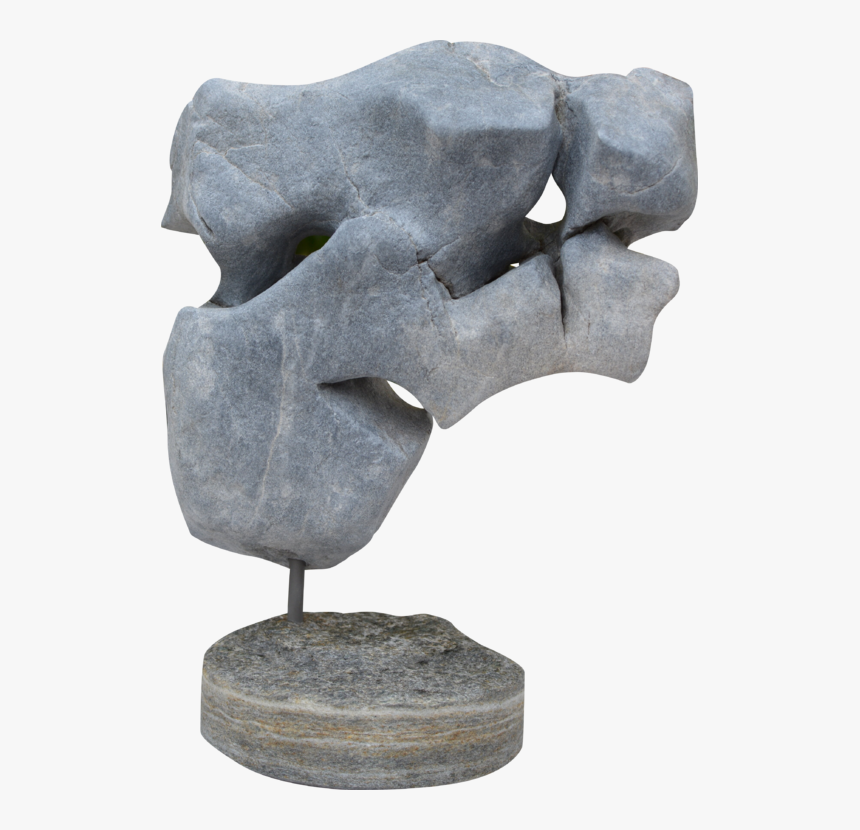 Bucephalus, HD Png Download , Transparent Png Image - PNGitem