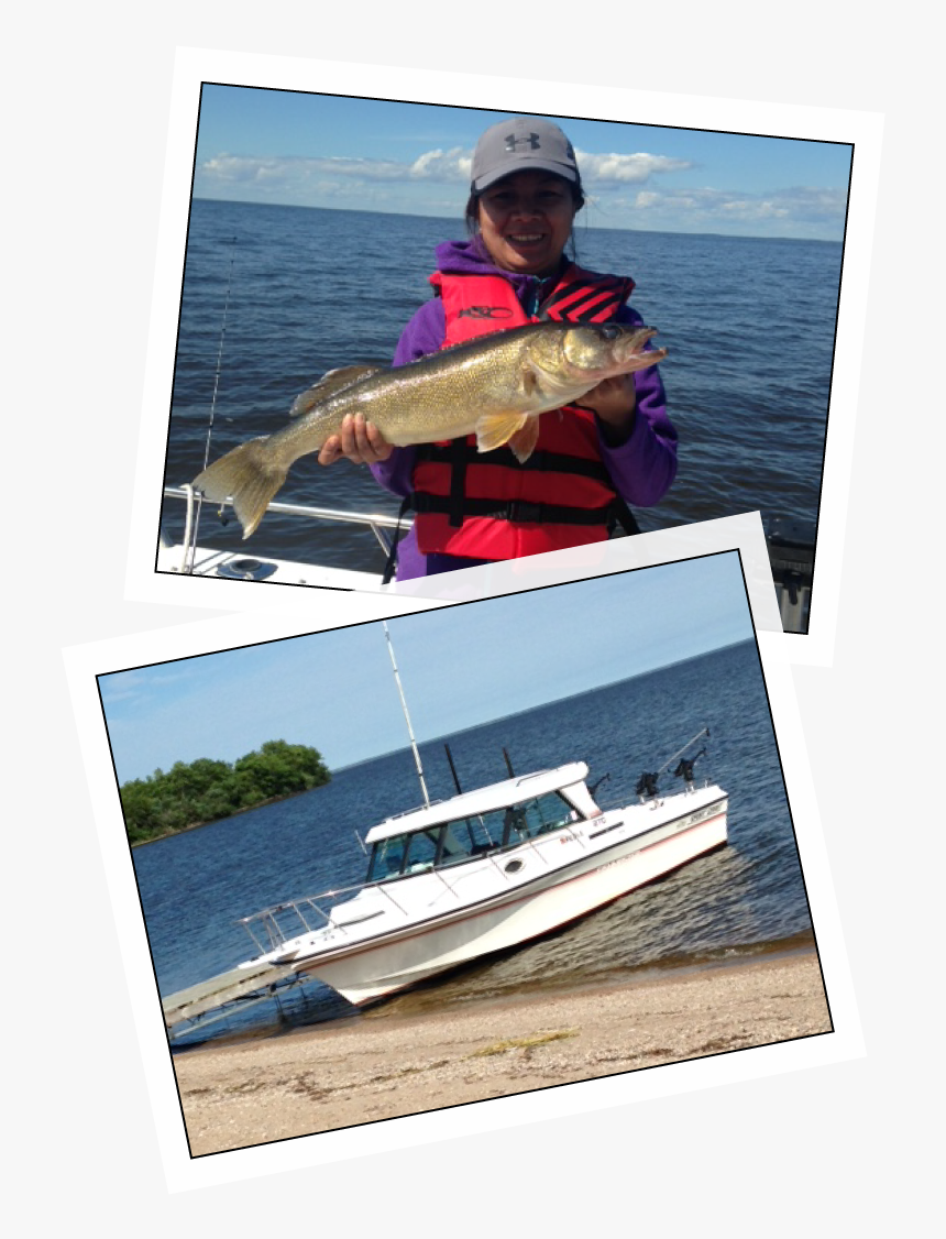Walleye Png, Transparent Png , Transparent Png Image - PNGitem