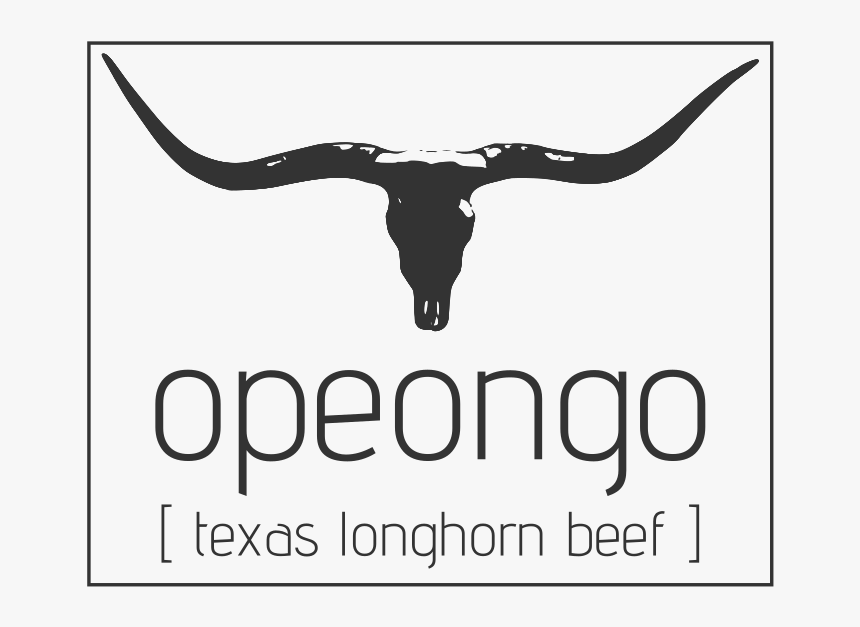 Texas Longhorns Png, Transparent Png , Transparent Png Image - PNGitem
