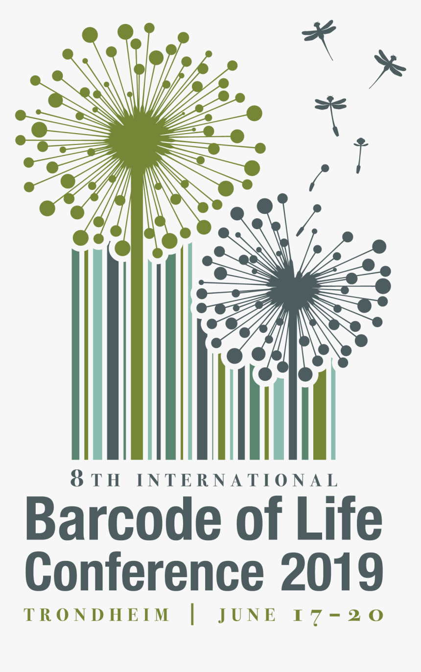 Reference Line, HD Png Download , Transparent Png Image - PNGitem