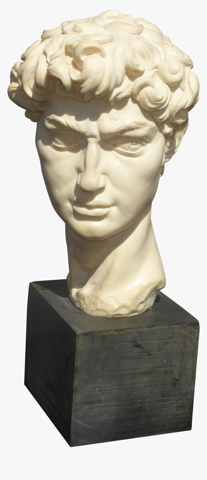 Bust, HD Png Download , Transparent Png Image - PNGitem