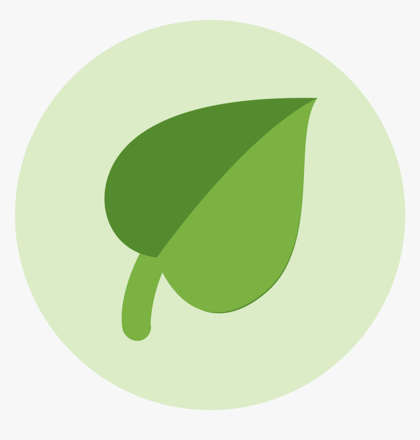 Leave Vector Single Png Transparent Download - Illustration, Png ...