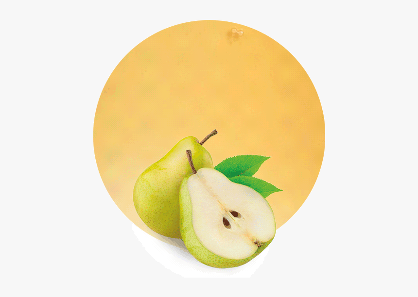 Asian Pear, HD Png Download , Transparent Png Image - PNGitem