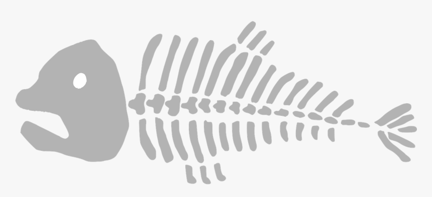 Dead Fish Bones Png, Transparent Png , Transparent Png Image - PNGitem