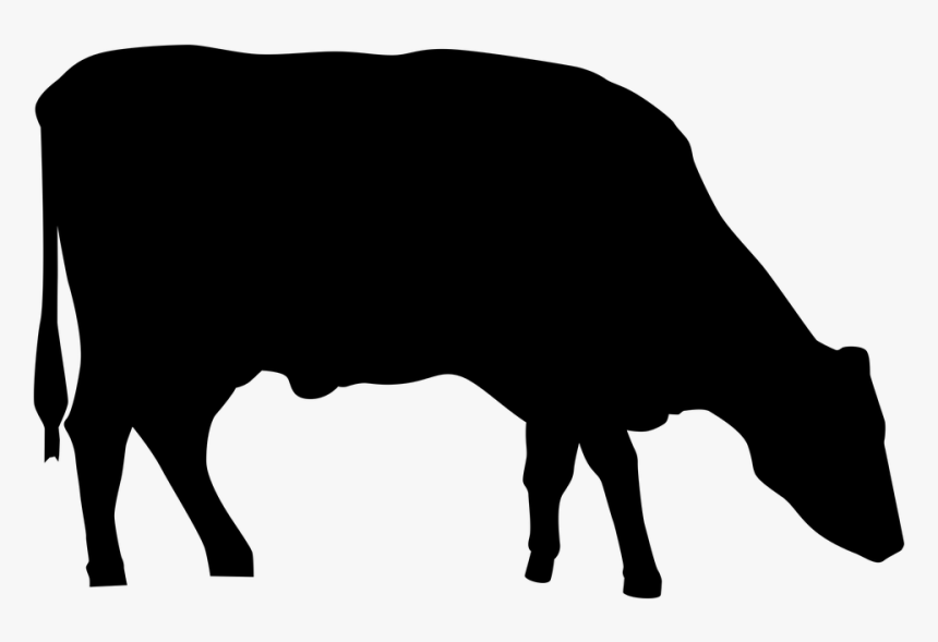 Silhouette, Cow, Animal, Farm, Symbol, Beef, Bull, - Cow Grazing ...