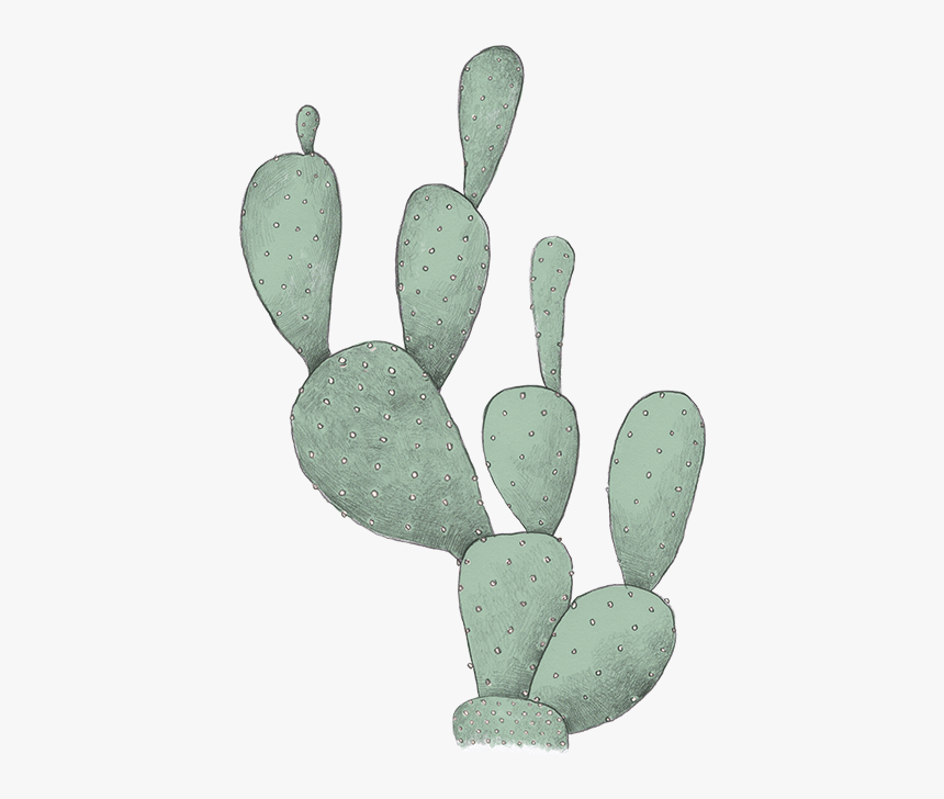 Nopal Png, Transparent Png , Transparent Png Image - PNGitem