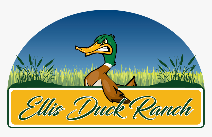 Duck Hunt Duck Png, Transparent Png , Transparent Png Image - PNGitem