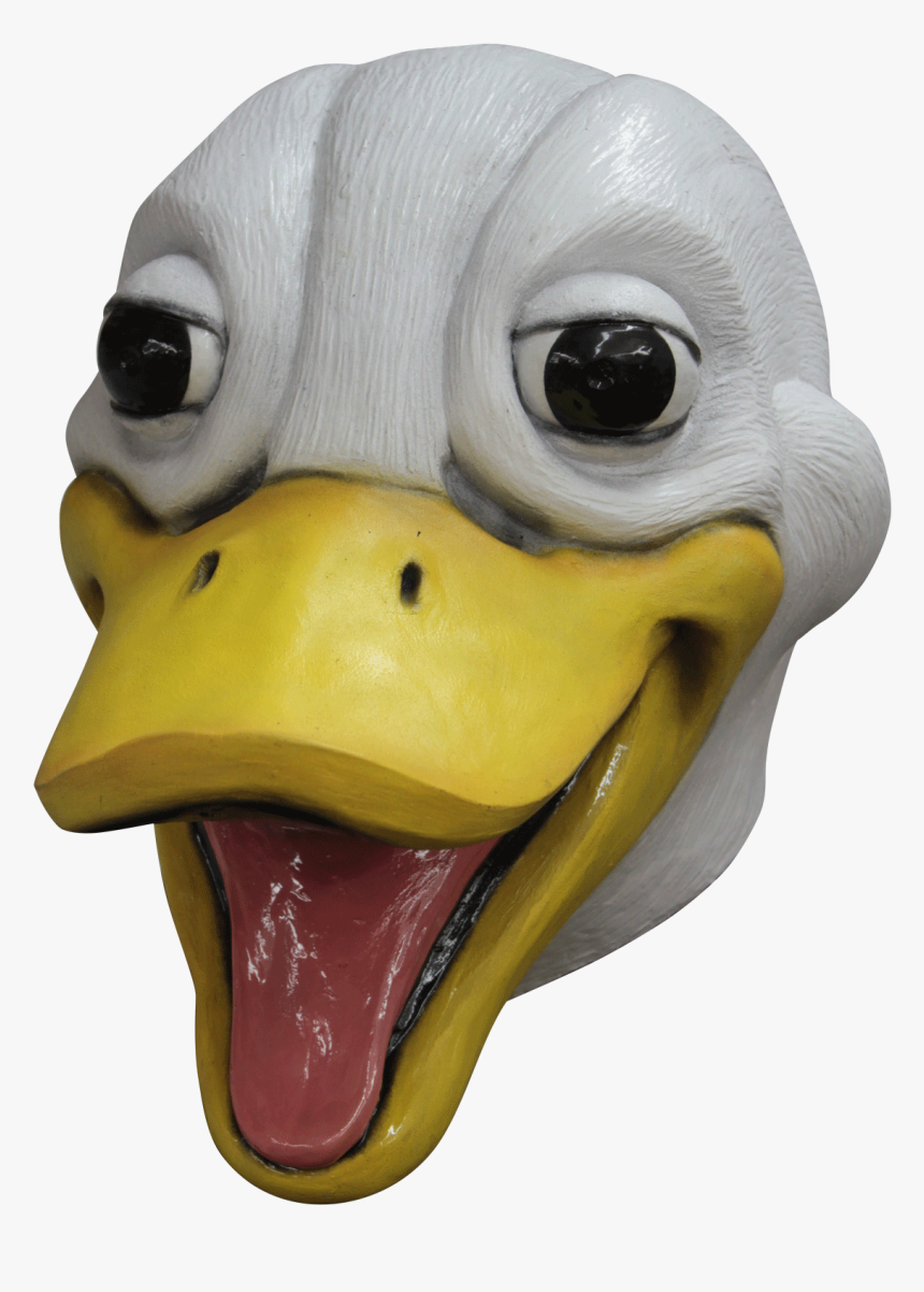 Duck Mask Class, HD Png Download , Transparent Png Image - PNGitem