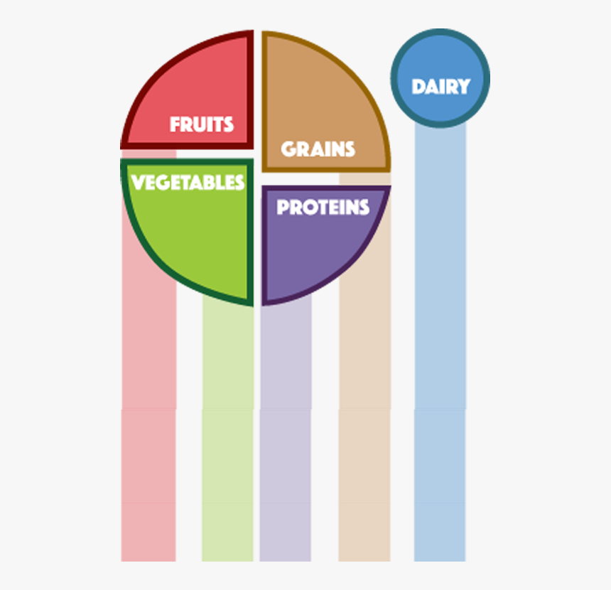 Food Pyramid Png, Transparent Png , Transparent Png Image - PNGitem