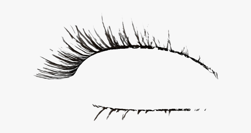 Lashes Png Transparent Image, Png Download , Transparent Png Image ...