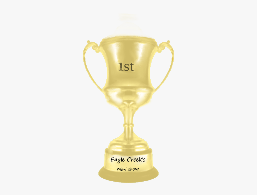 1st Place Trophy Png, Transparent Png , Transparent Png Image - PNGitem