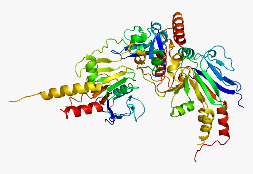 Protein Ski Pdb 1mr1, HD Png Download , Transparent Png Image - PNGitem
