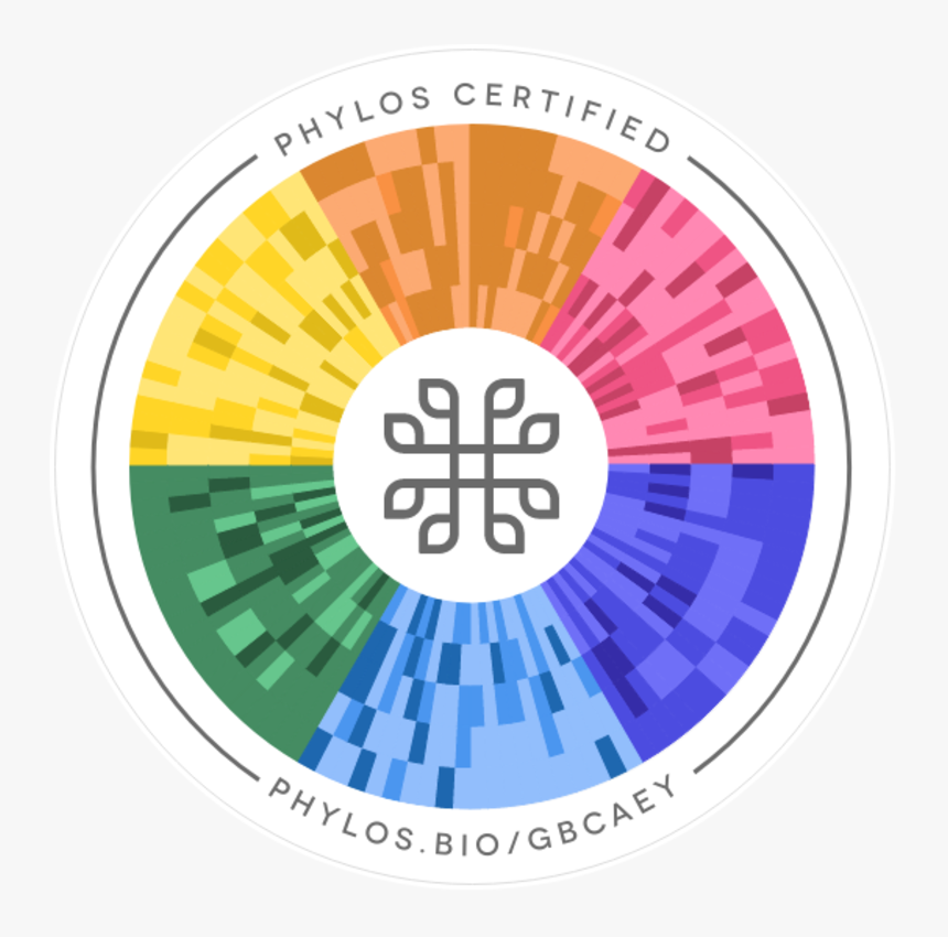 Transparent Ruby Slippers Png, Png Download , Transparent Png Image ...