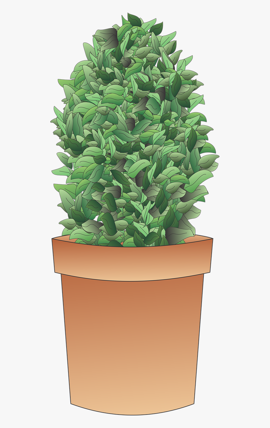 Bush Plant Png, Transparent Png , Transparent Png Image - PNGitem