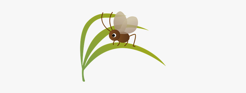 Bell Ring Cricket Insect Clipart, HD Png Download , Transparent Png ...