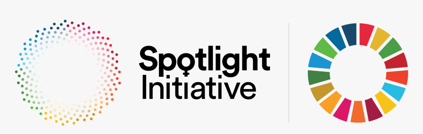 The Spotlight Initiative, HD Png Download , Transparent Png Image - PNGitem