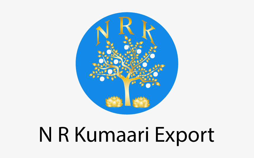 Google Plus Icons Png, Transparent Png , Transparent Png Image - PNGitem