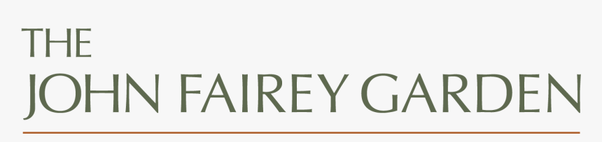 Horizontal Vine Png, Transparent Png , Transparent Png Image - PNGitem