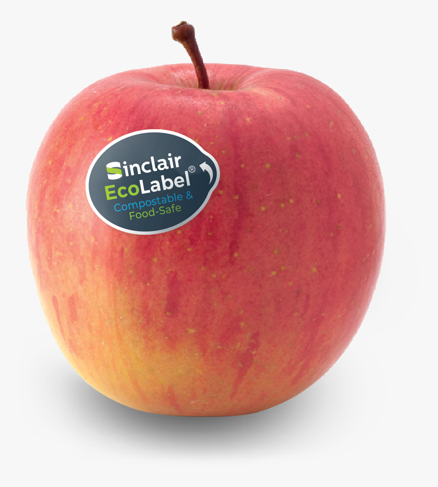 Label Shapes Png, Transparent Png , Transparent Png Image - PNGitem