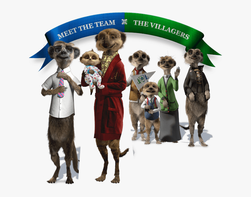 Compare The Market Meerkats , Png Download, Transparent Png ...