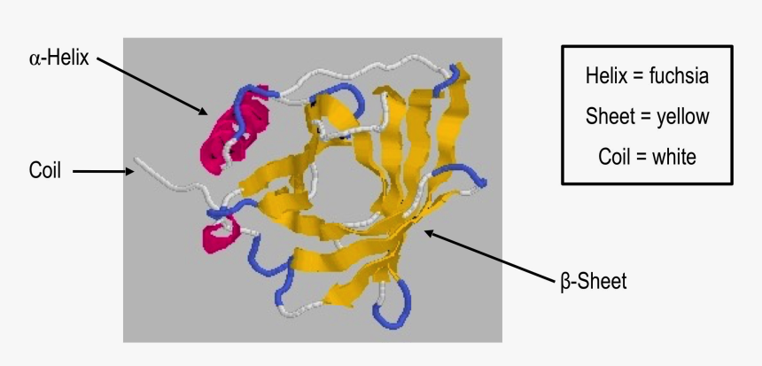 Coil Png, Transparent Png , Transparent Png Image - PNGitem