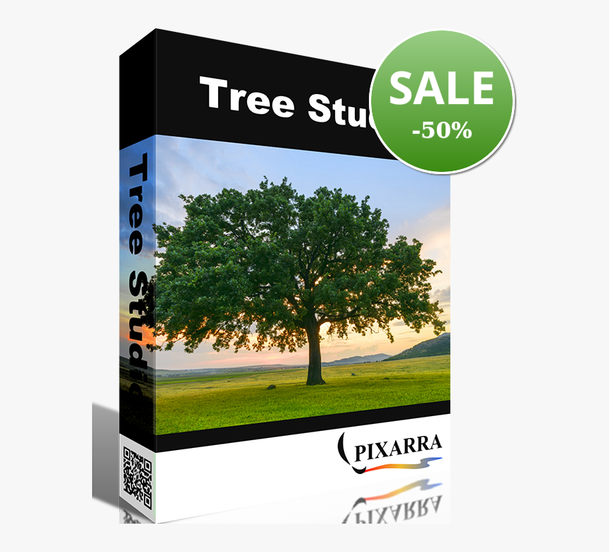 Tree Studio, HD Png Download , Transparent Png Image - PNGitem