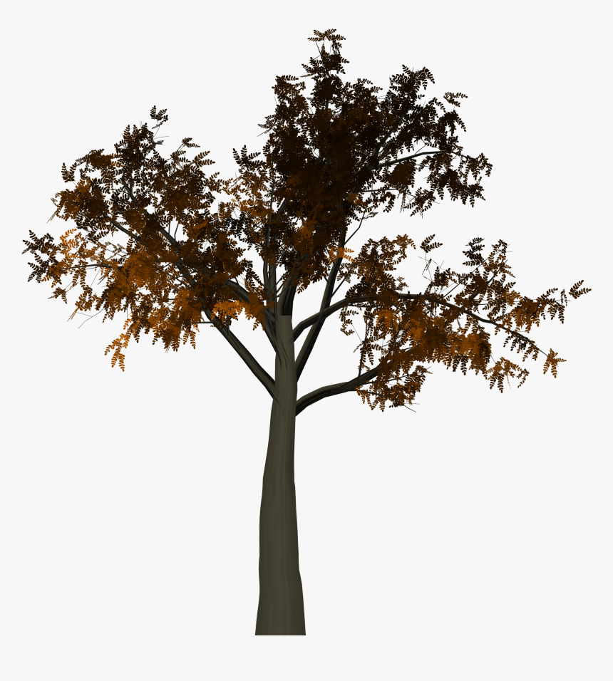 Tree Branch Leaf, HD Png Download , Transparent Png Image - PNGitem