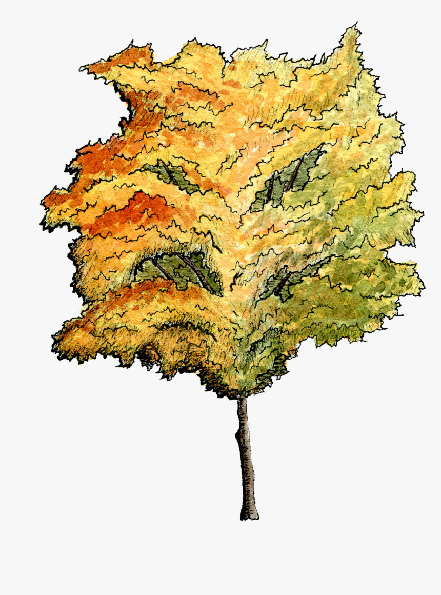 Transparent Site Plan Trees Png - Transparent Watercolor Trees ...