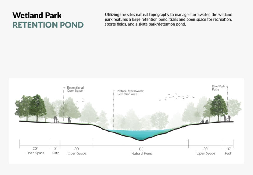 Transparent Tree Section Png - Tree, Png Download , Transparent Png ...