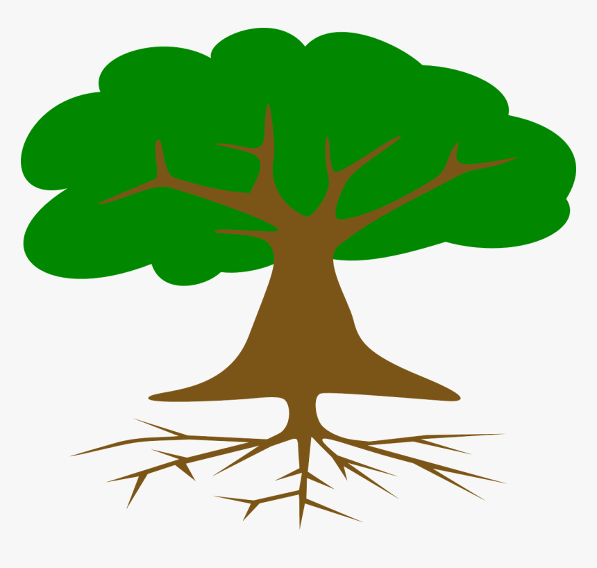 Roots Of American Democracy Tree, HD Png Download , Transparent Png ...