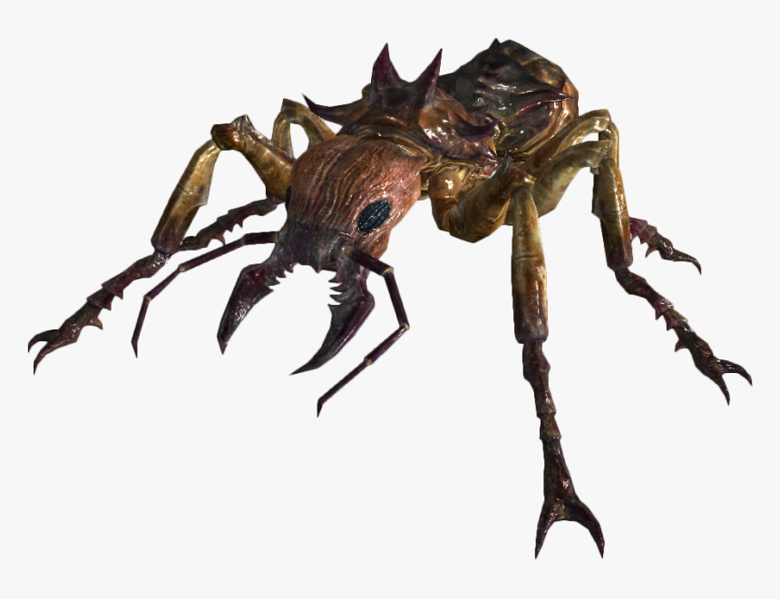 Giant Soldier Ant - Fallout Giant Ant, HD Png Download , Transparent ...
