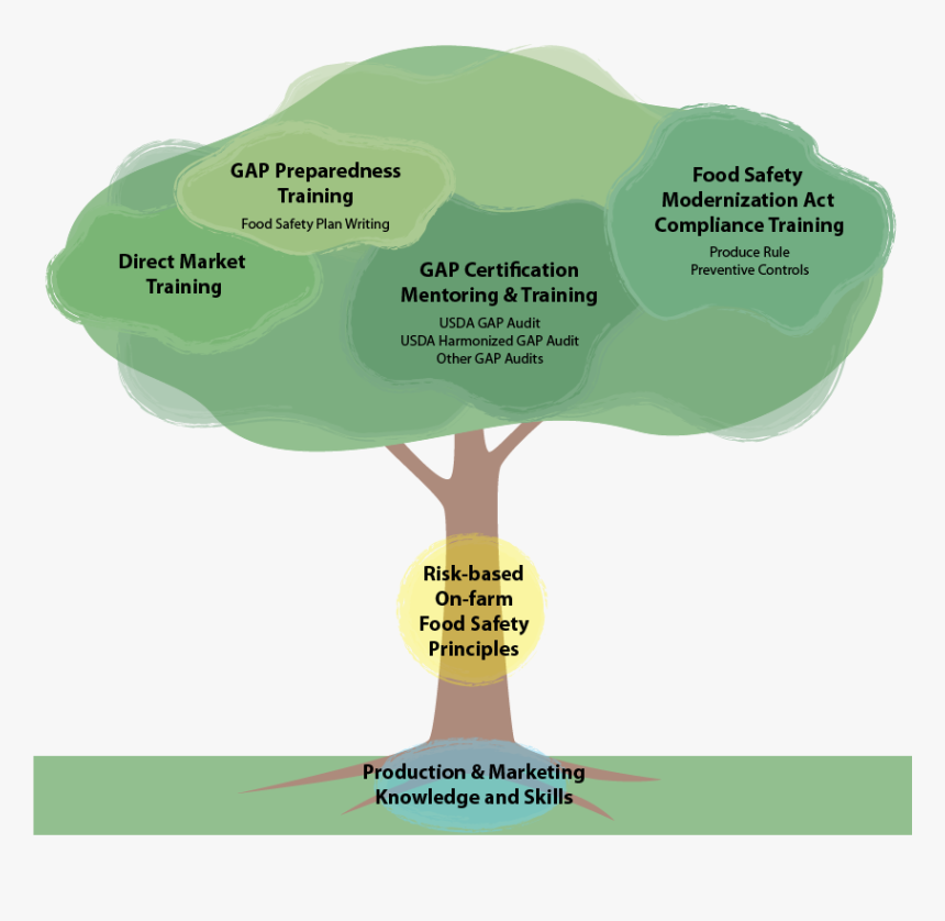 Competencies - Map, HD Png Download , Transparent Png Image - PNGitem