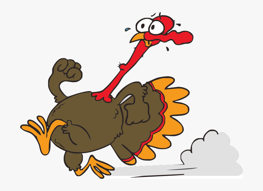 Cartoon Turkey Running