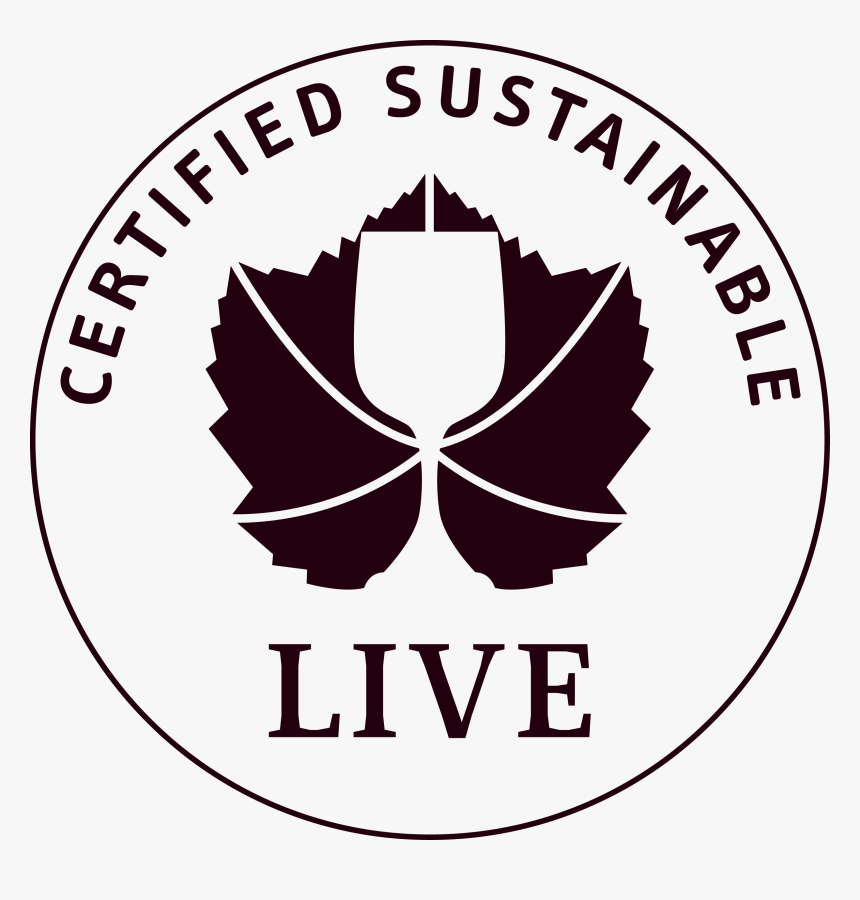 Certification Logos Png, Transparent Png , Transparent Png Image - PNGitem