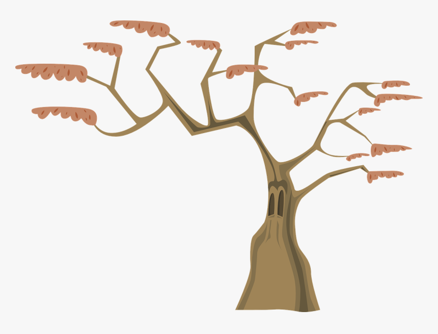 Dibujo De Un Arbol Con Ramas