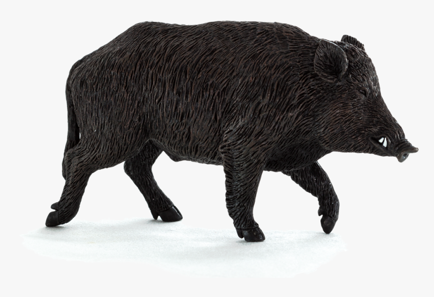 Wild Boar Png File - Wild Boar Boar Png, Transparent Png , Transparent ...