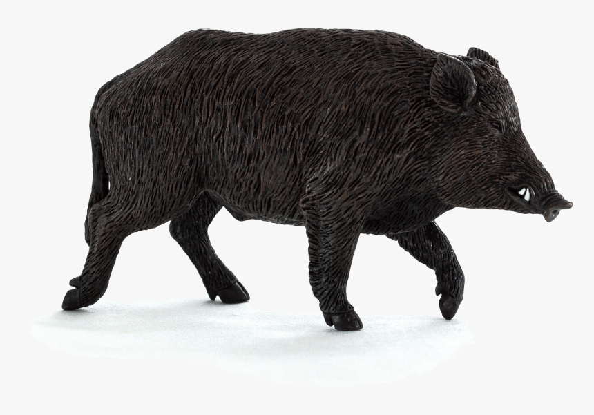 Wild Boar Pic Transparent, HD Png Download , Transparent Png Image ...