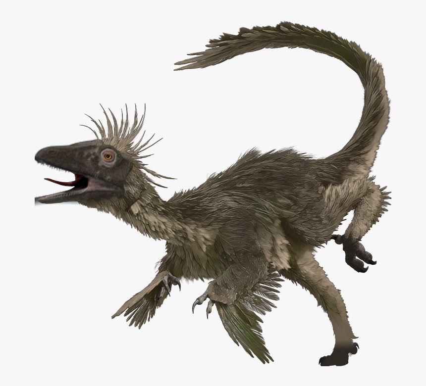 Transparent Raptor Dinosaur Clipart - Troodon Walking With Dinosaurs ...