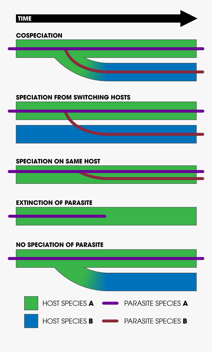Parasite Png, Transparent Png , Transparent Png Image - PNGitem
