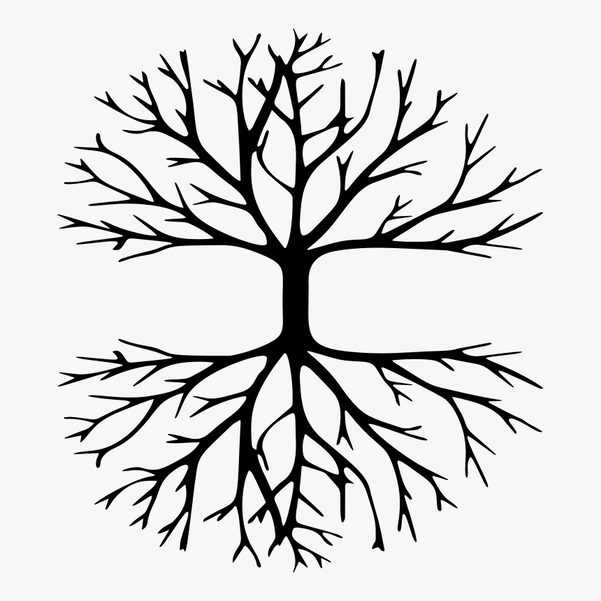 American Larch,white Pine,plant - Tree Drawing With Message, HD Png ...