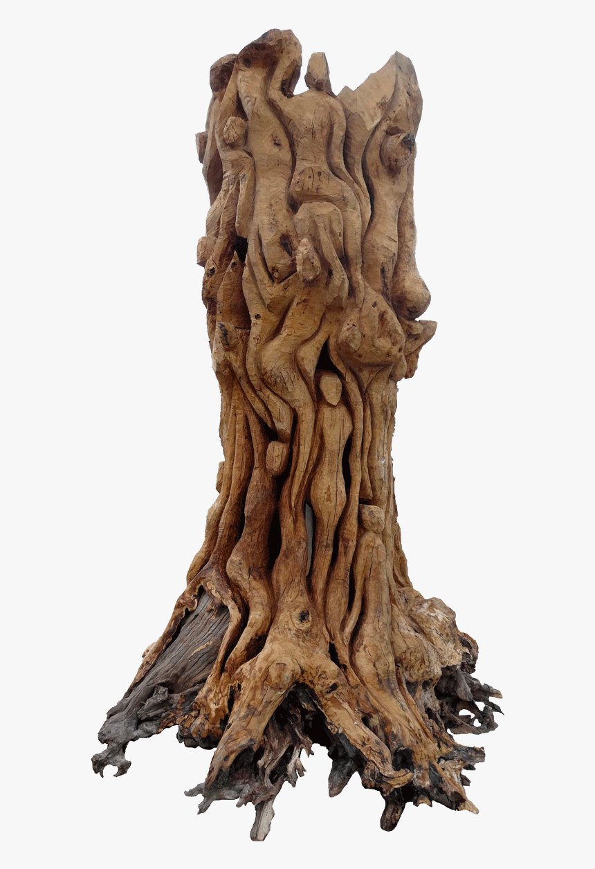 Sculpture Of Tree Roots, HD Png Download , Transparent Png Image - PNGitem