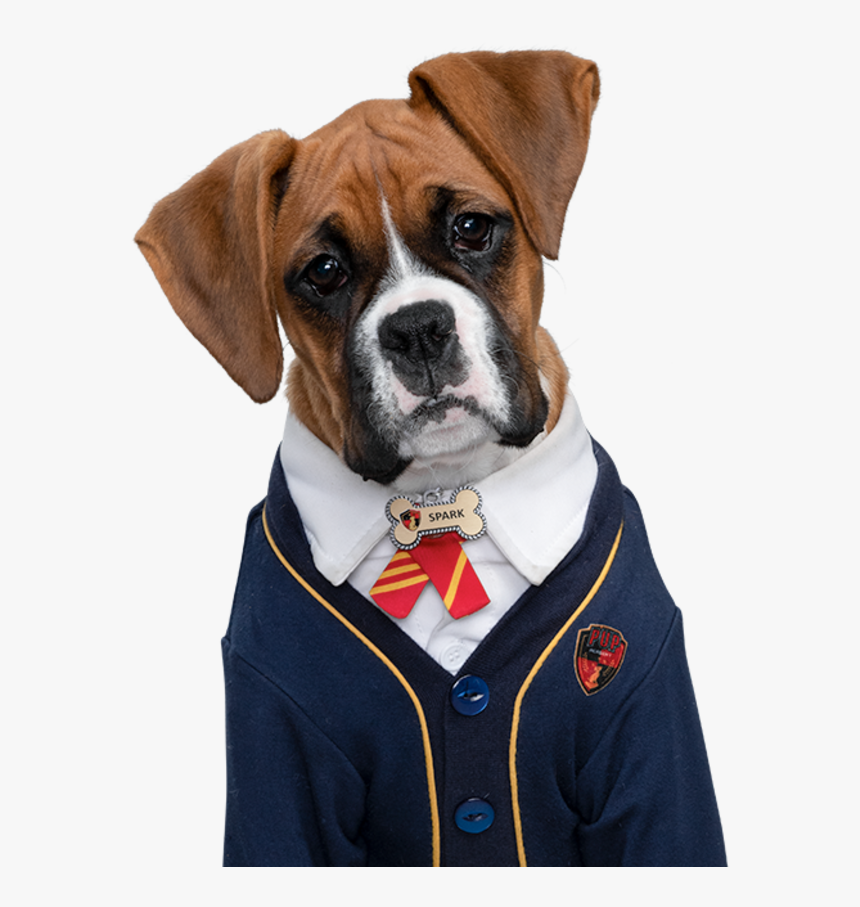 Boxer Dog Png, Transparent Png , Transparent Png Image - PNGitem